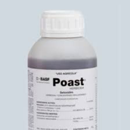 POAST Setoxidim 20% USO AGRICOLA | Casthell